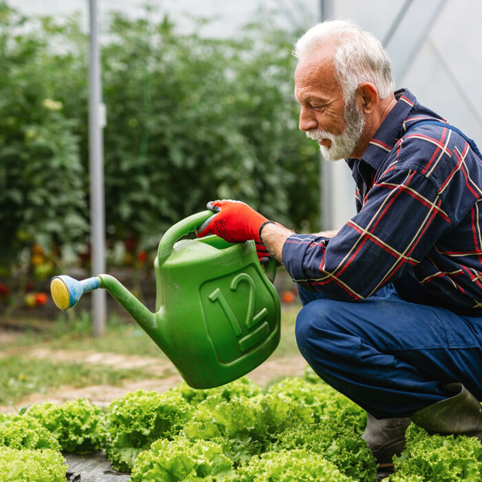 How much do you need to save for retirement? - Credit Unions of Alberta